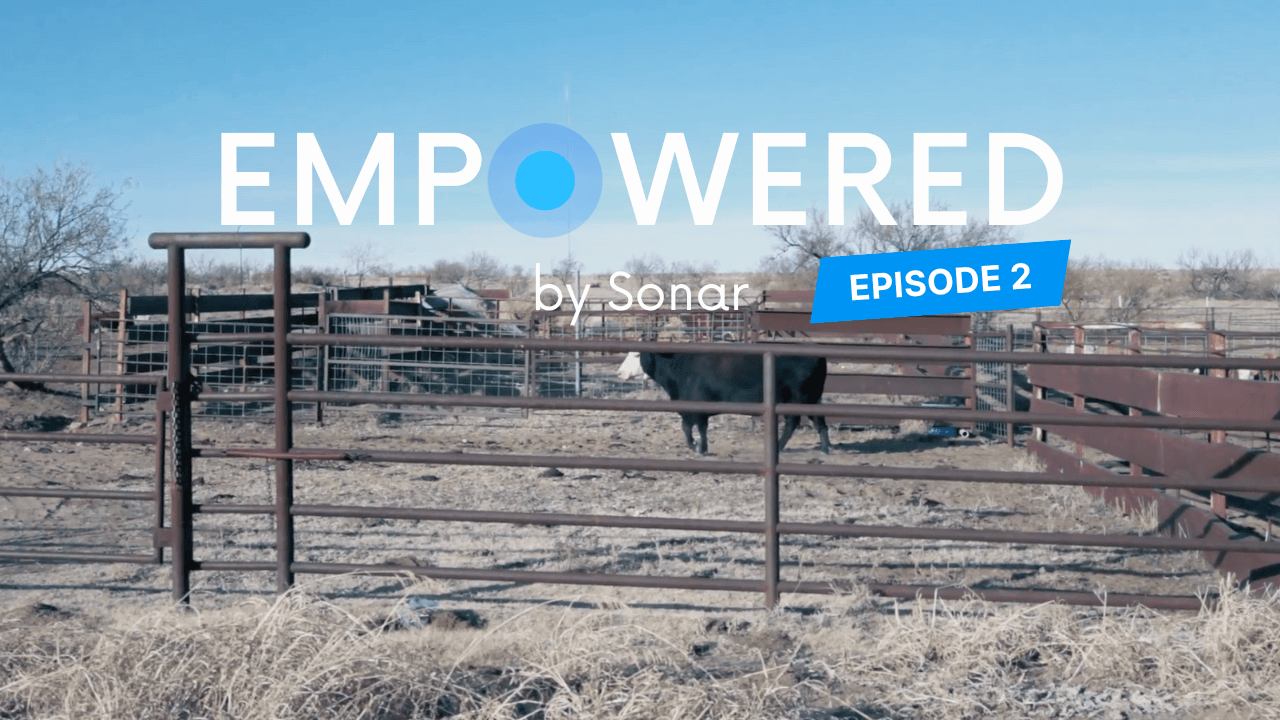 Sonar Original Series | Sonar Software